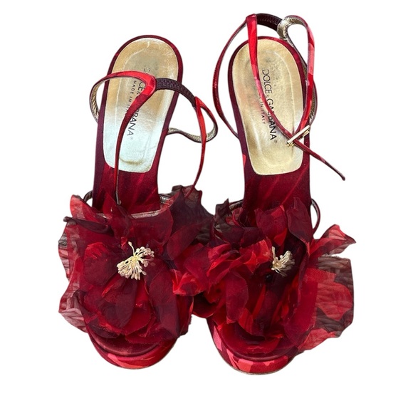 Dolce & Gabbana | Shoes | Dolce Gabbana Red Floral Heels | Poshmark